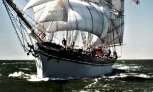 Beach, Beach Baby: Free to Full Service – Galveston Island Guide